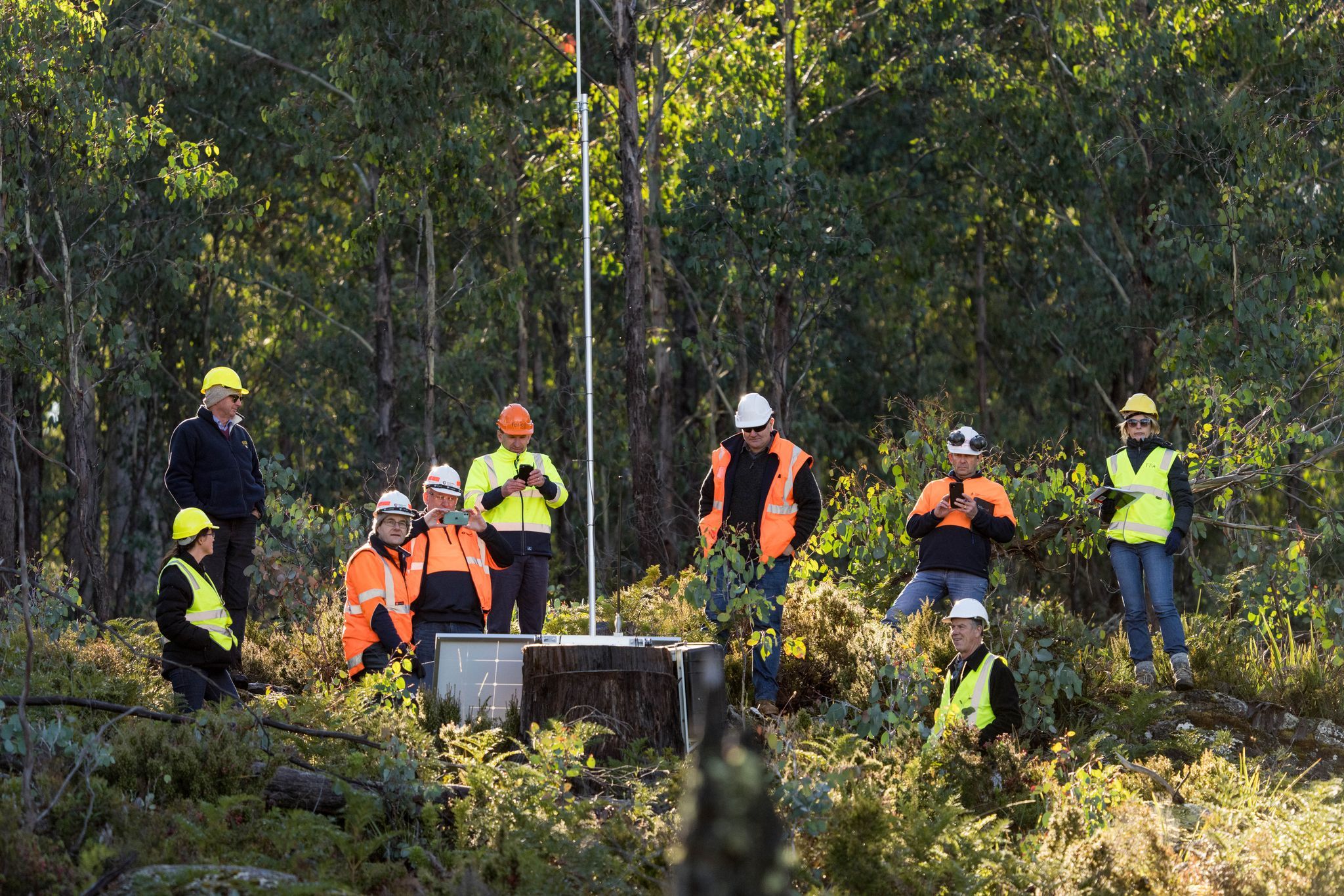 If you’re planning an event or an activity in one of our forests, you ...